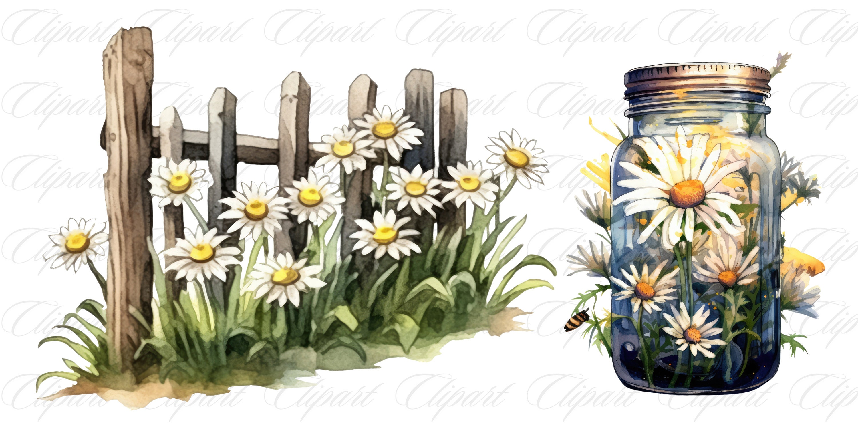 Watercolor Spring Daisy Flower Clipart, 24 PNG Files High Quality ...
