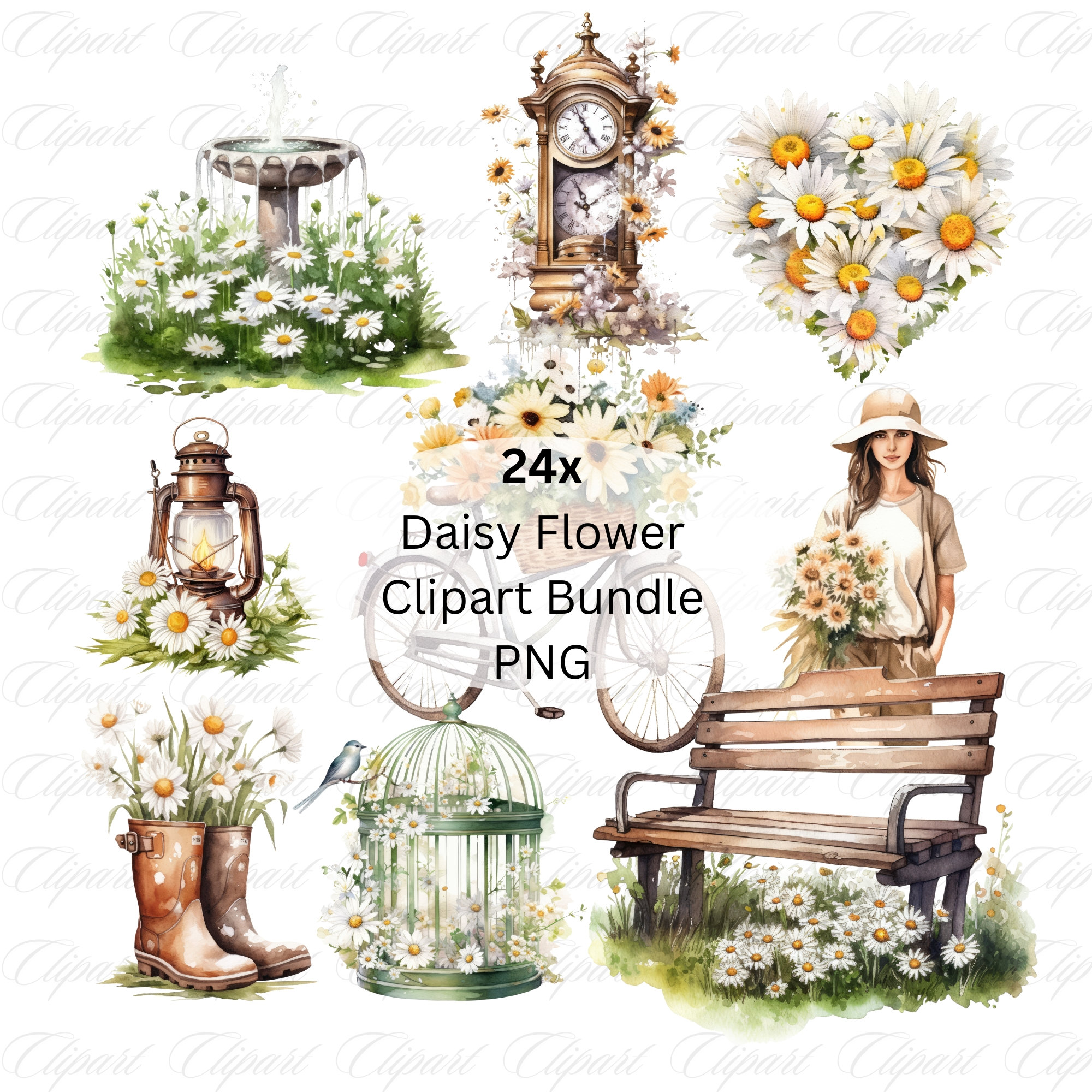 Watercolor Spring Daisy Flower Clipart, 24 PNG Files High Quality ...