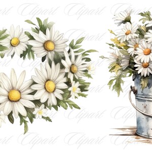 Watercolor Spring Daisy Flower Clipart, 24 PNG Files High Quality ...