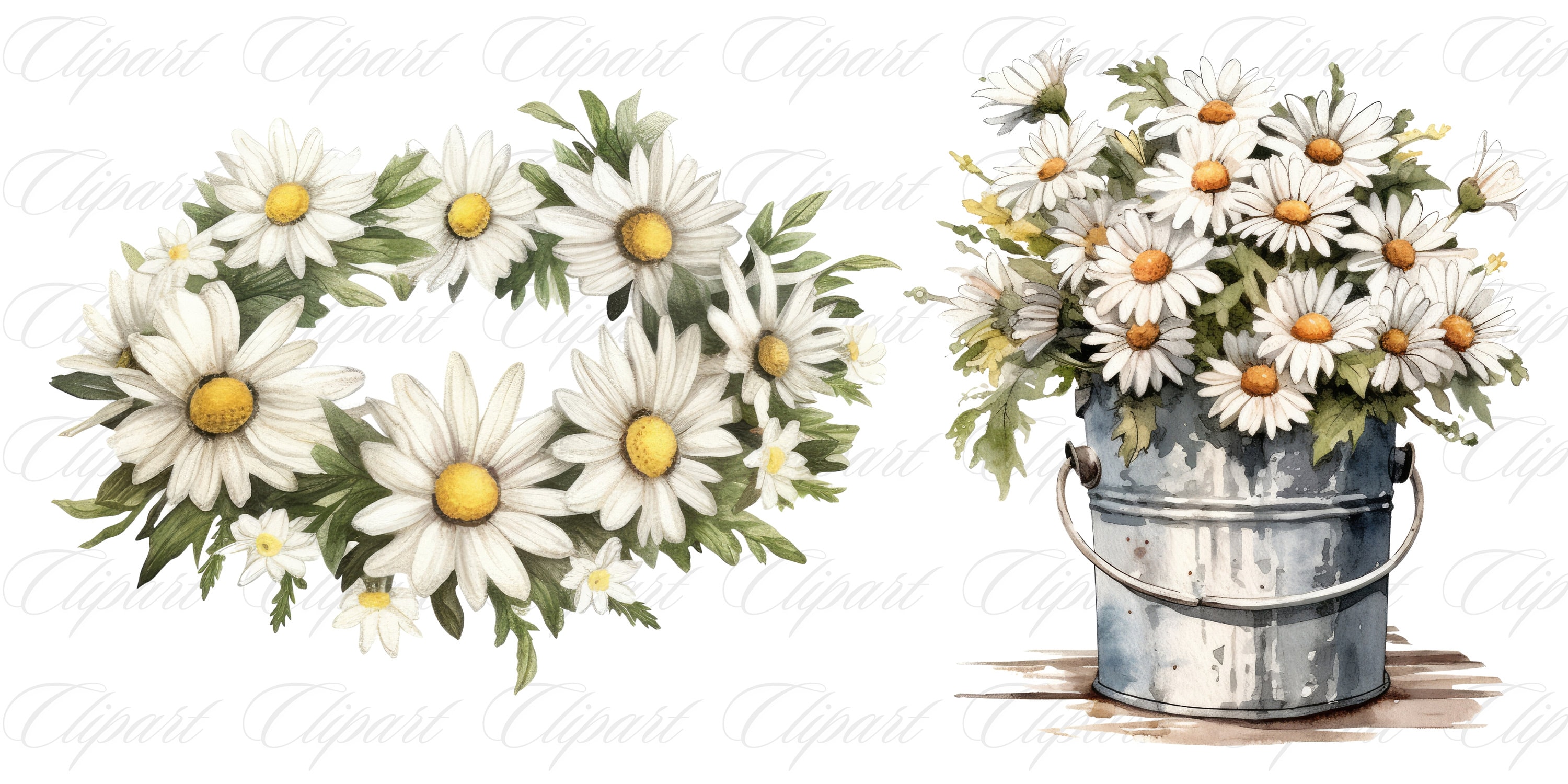 Watercolor Spring Daisy Flower Clipart, 24 PNG Files High Quality ...