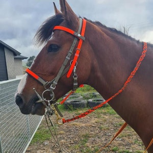 LS Deux 2-part Endurance Bridle - Customisable Beta® Biothane® Halter ...