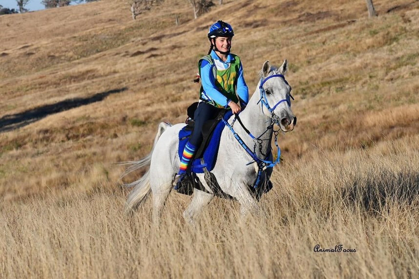 LS Deux 2-part Endurance Bridle - Customisable Beta® Biothane® Halter ...