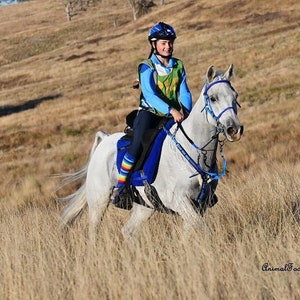 LS Deux 2-part Endurance Bridle - Customisable Beta® Biothane® Halter ...