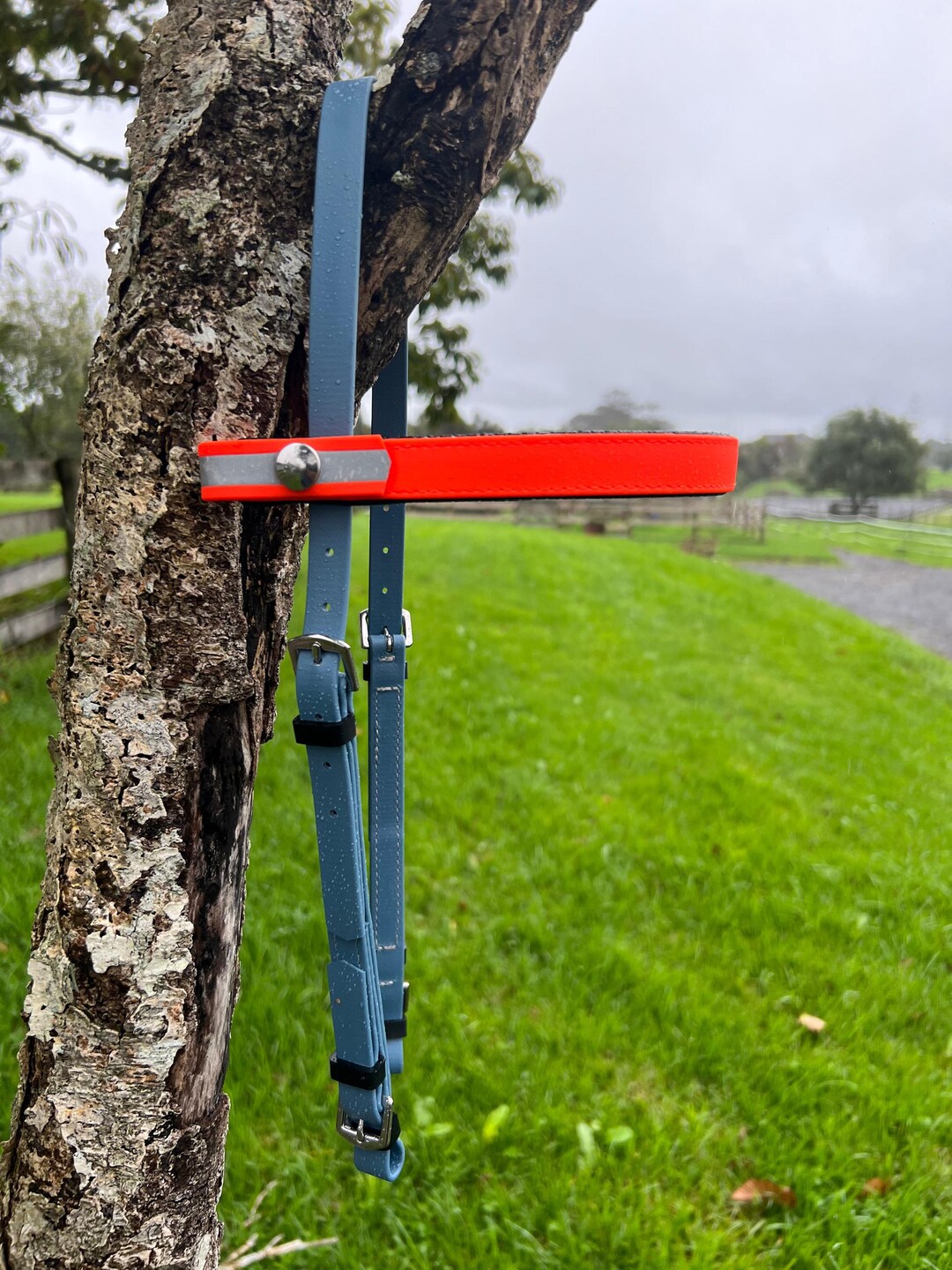 LS Deux Reflective Headstall - Quick-clip Beta® Biothane® Bridle ...