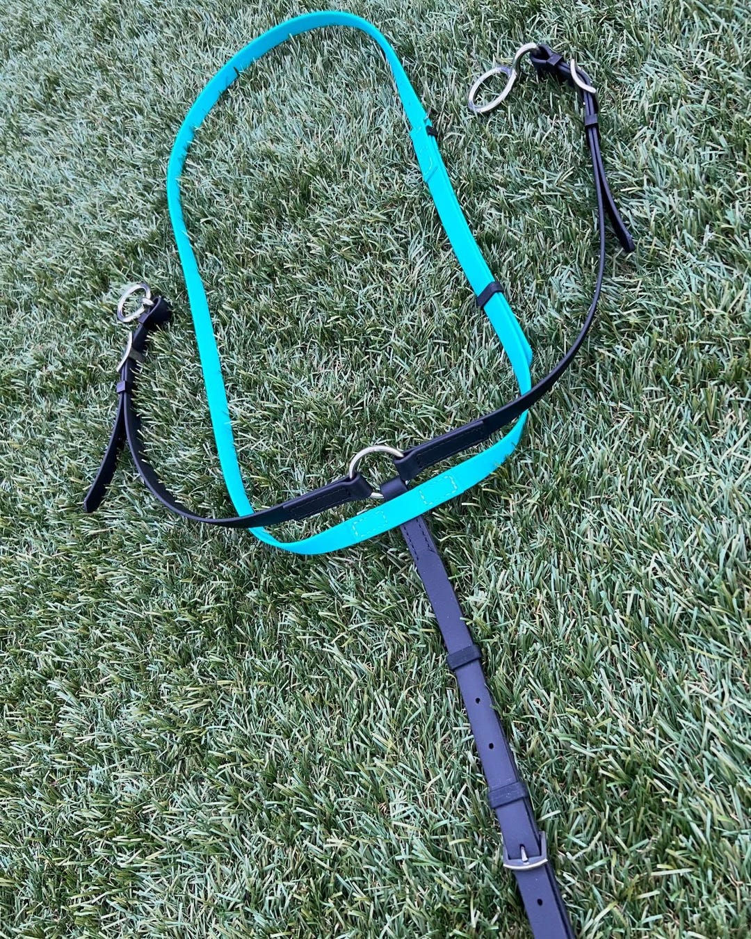 Custom Biothane® Running Martingale – Waterproof, Durable Horse Tack ...