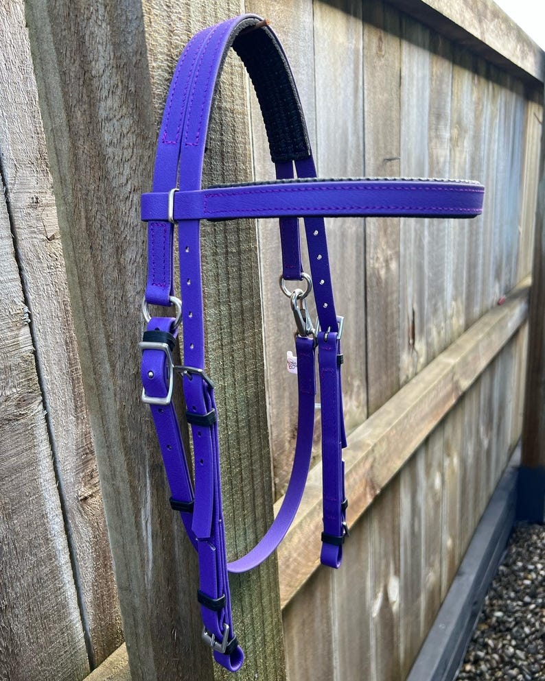 Padded Race Bridle - Violet Purple - Etsy