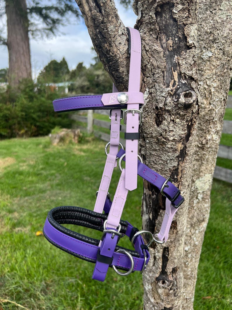 Custom Beta® Biothane® Multi Bridle - Option 2: Design Your Own - Etsy