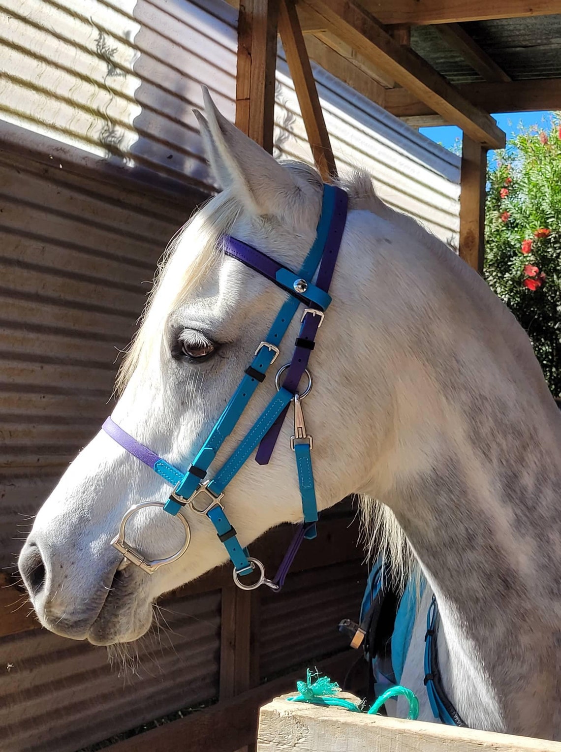 LS Deux 2-part Endurance Bridle - Customisable Beta® Biothane® Halter ...