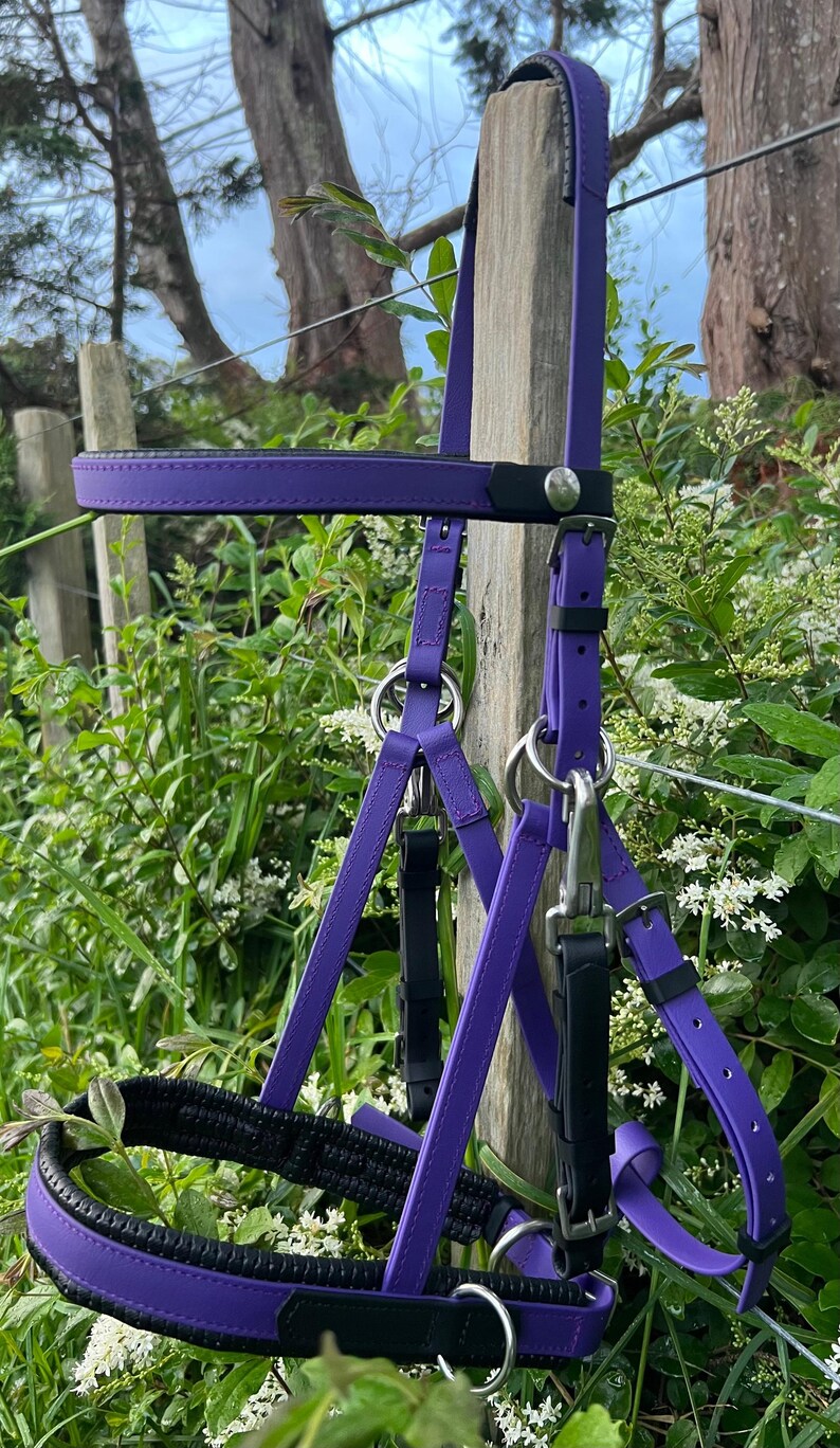 Custom Beta® Biothane® Multi Bridle - Option 2: Design Your Own - Etsy