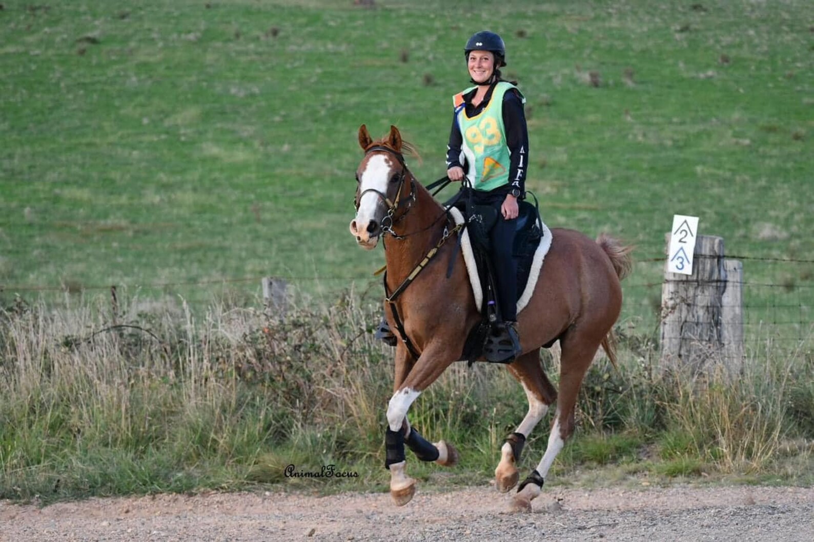 LS Deux 2-part Endurance Bridle - Customisable Beta® Biothane® Halter ...