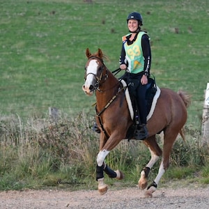 LS Deux 2-part Endurance Bridle - Customisable Beta® Biothane® Halter ...