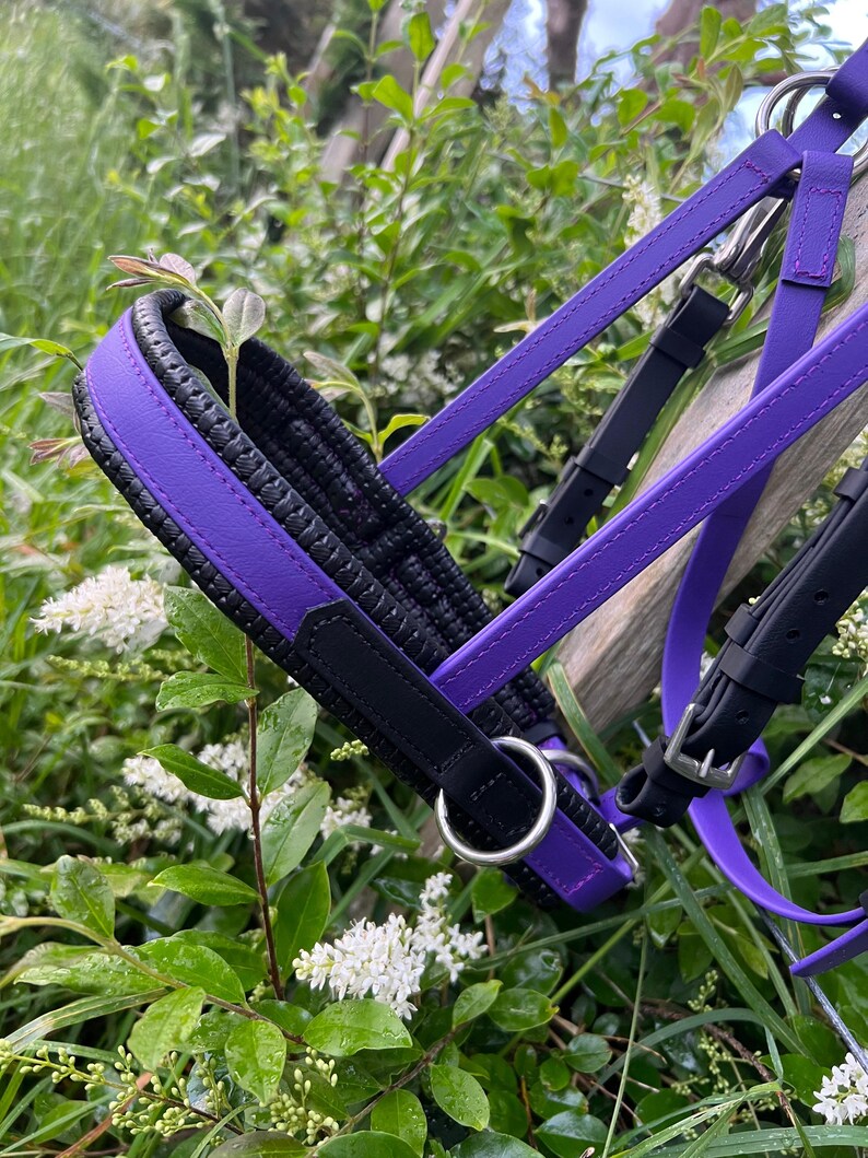 Custom Beta® Biothane® Multi Bridle - Option 2: Design Your Own - Etsy