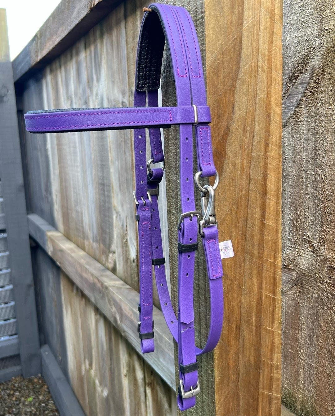 Padded Race Bridle - Violet Purple - Etsy