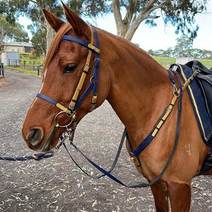 LS Deux 2-part Endurance Bridle - Customisable Beta® Biothane® Halter ...