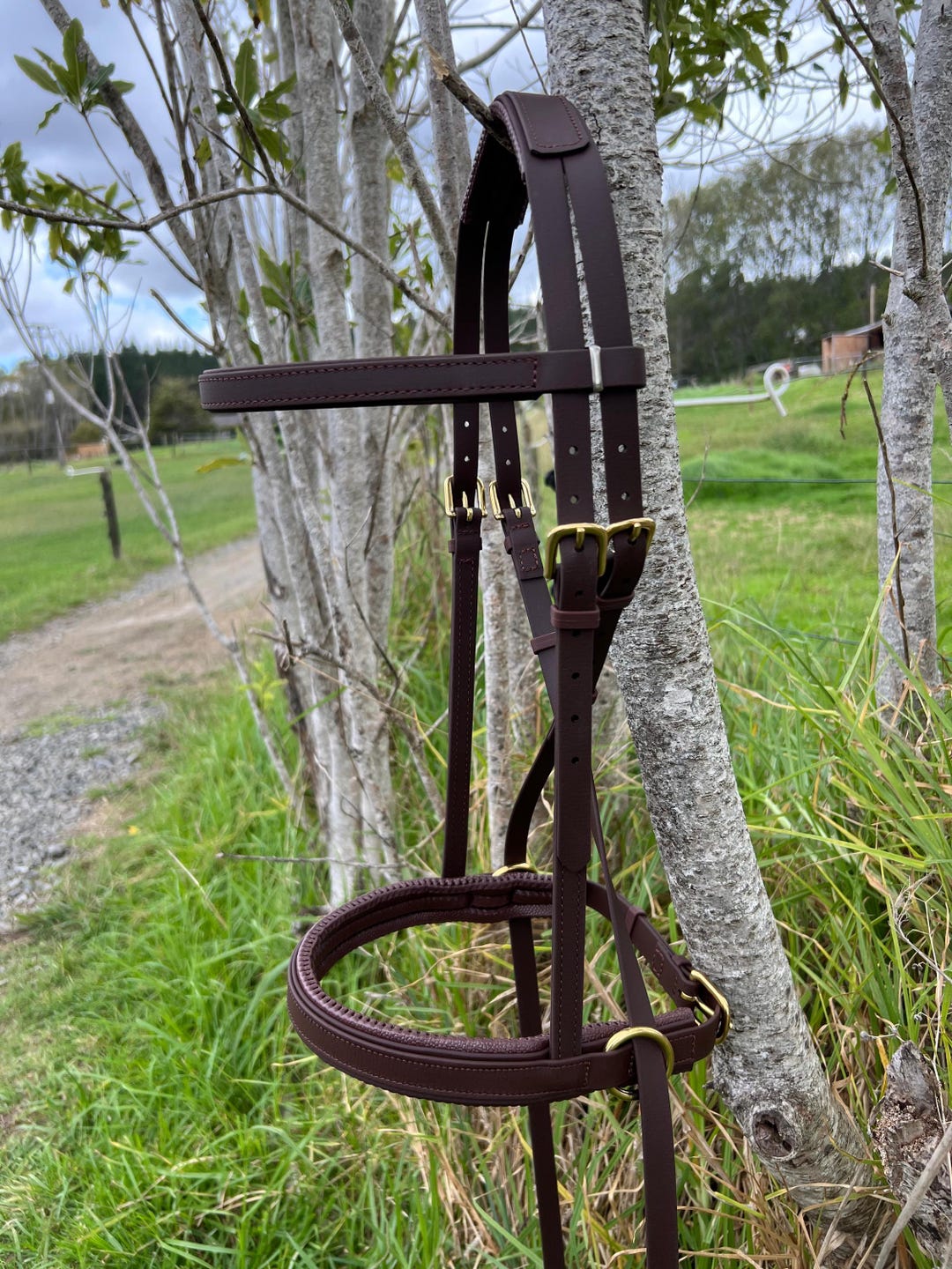 Biothane® Bitless Cross-under Bridle – Gentle Control, Exceptional ...