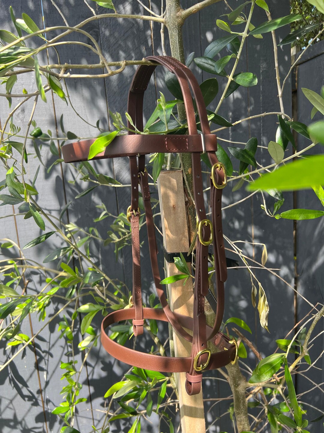 LS Biothane® In-hand Bridle Classic Leather Aesthetic - Etsy