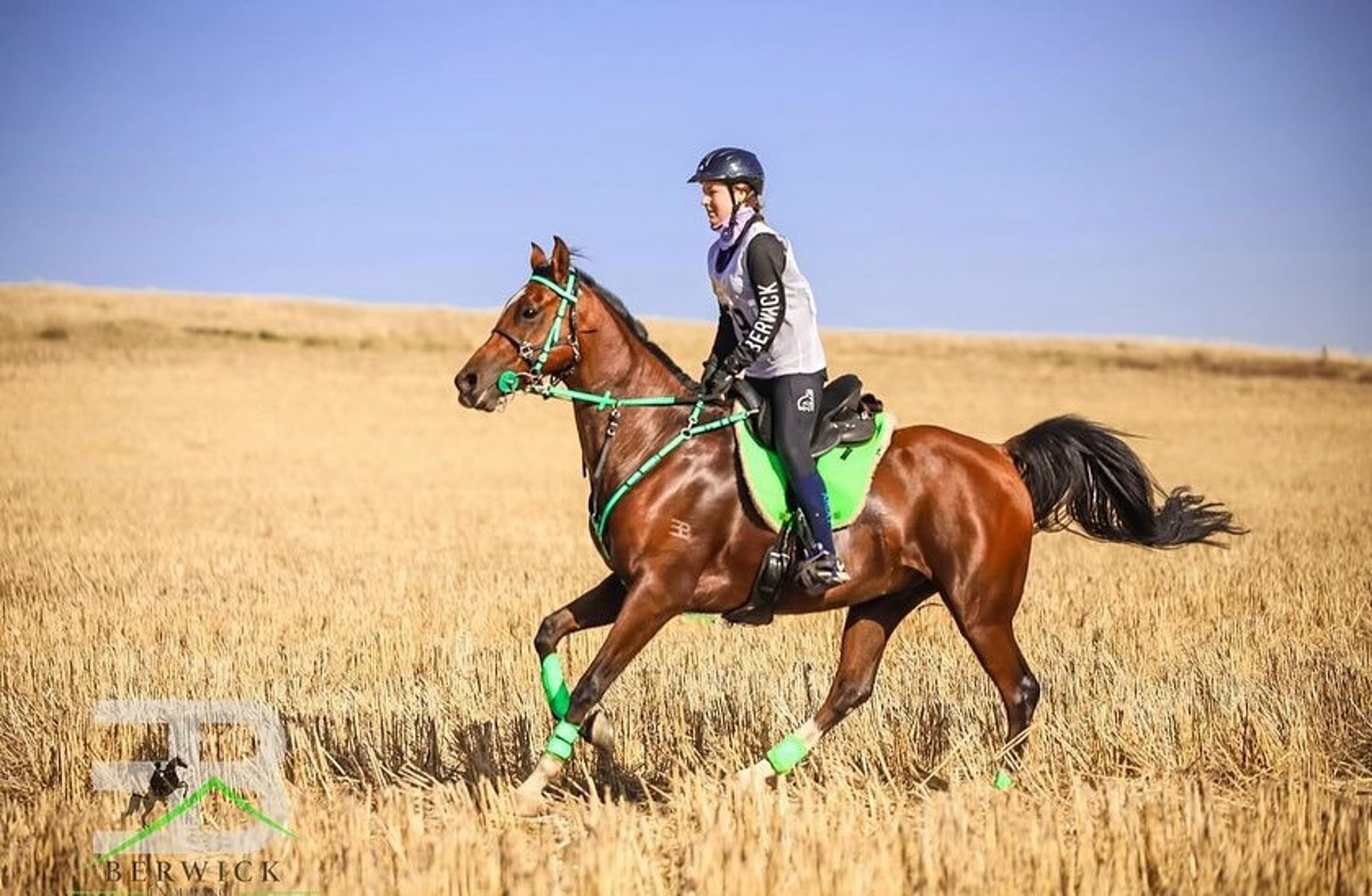 LS Deux 2-part Endurance Bridle - Customisable Beta® Biothane® Halter ...