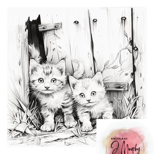 Purr-fect Patterns: Cat Coloring Canvas, Coloring Book - Etsy