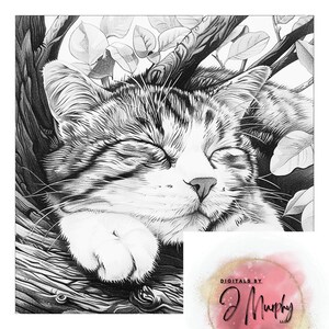 Purr-fect Patterns: Cat Coloring Canvas, Coloring Book - Etsy