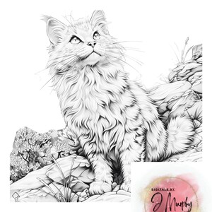 Purr-fect Patterns: Cat Coloring Canvas, Coloring Book - Etsy