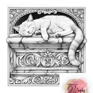 Purr-fect Patterns: Cat Coloring Canvas, Coloring Book - Etsy