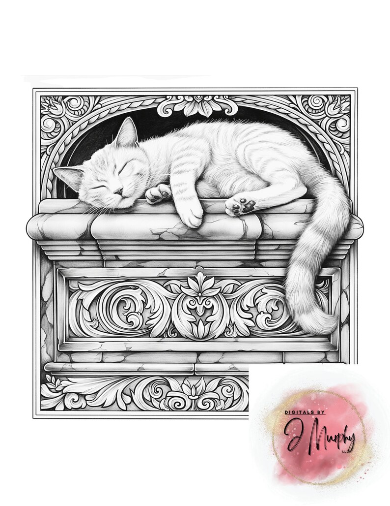 Purr-fect Patterns: Cat Coloring Canvas, Coloring Book - Etsy