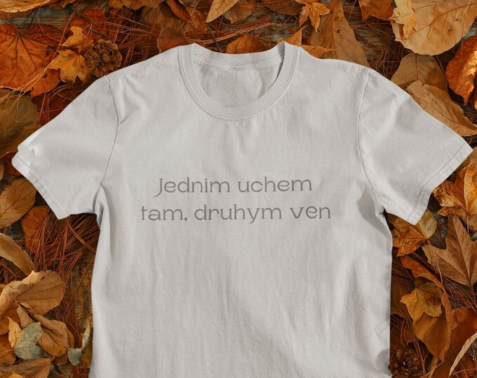 Czech Idiom "jednim Uchem Tam, Druhym Ven." Like Water on a Ducks Back ...