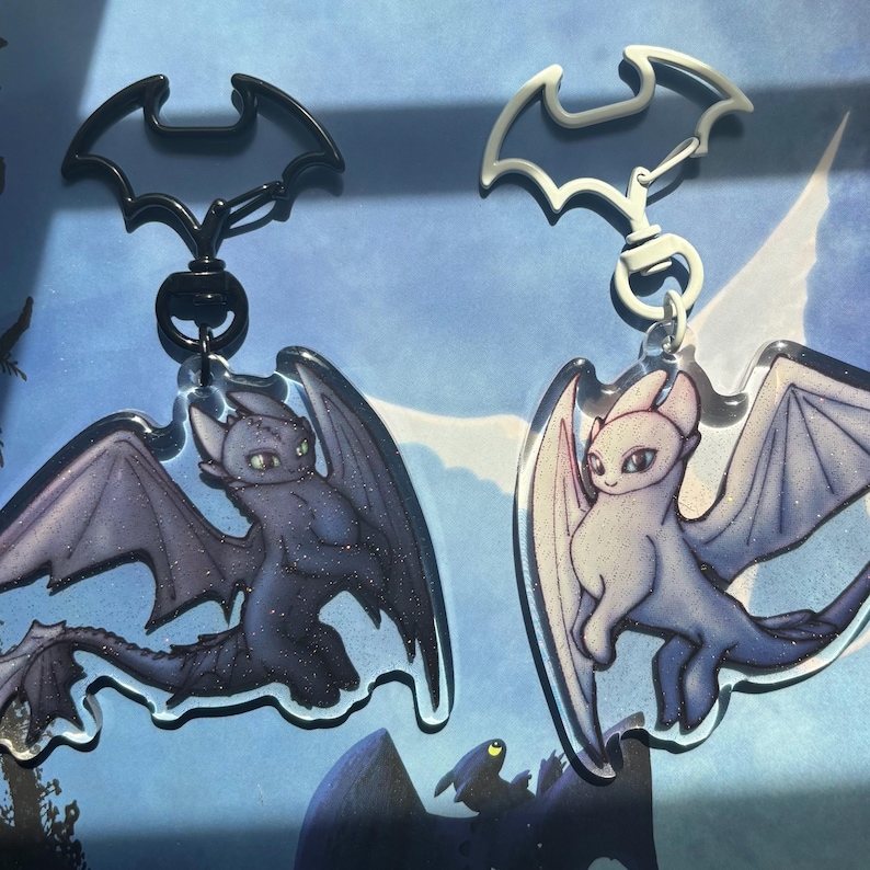 How to Train Your Dragon Toothless and Light Fury Acrylic Keychains - Etsy