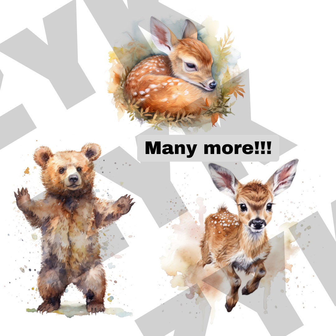 Watercolor Woodland Animal Clipart pack of 36 300 DPI PNG - Etsy