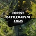 Dnd Forest Battlemaps V1 Bundle, 8 D&D Battlemaps, Dungeons and Dragons ...