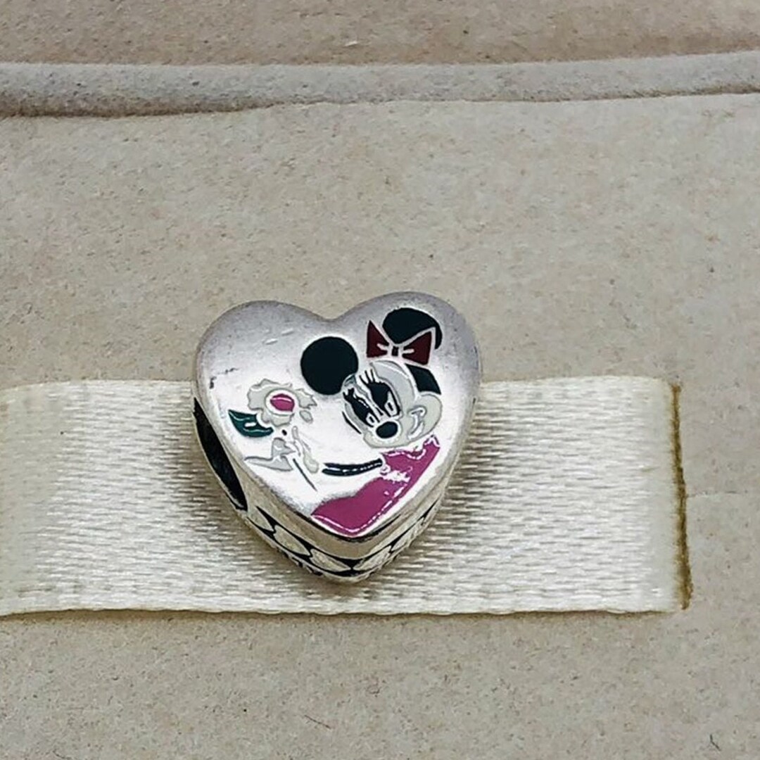 Pandora Epcot International Flower and Garden Festival Dangle Charm ...