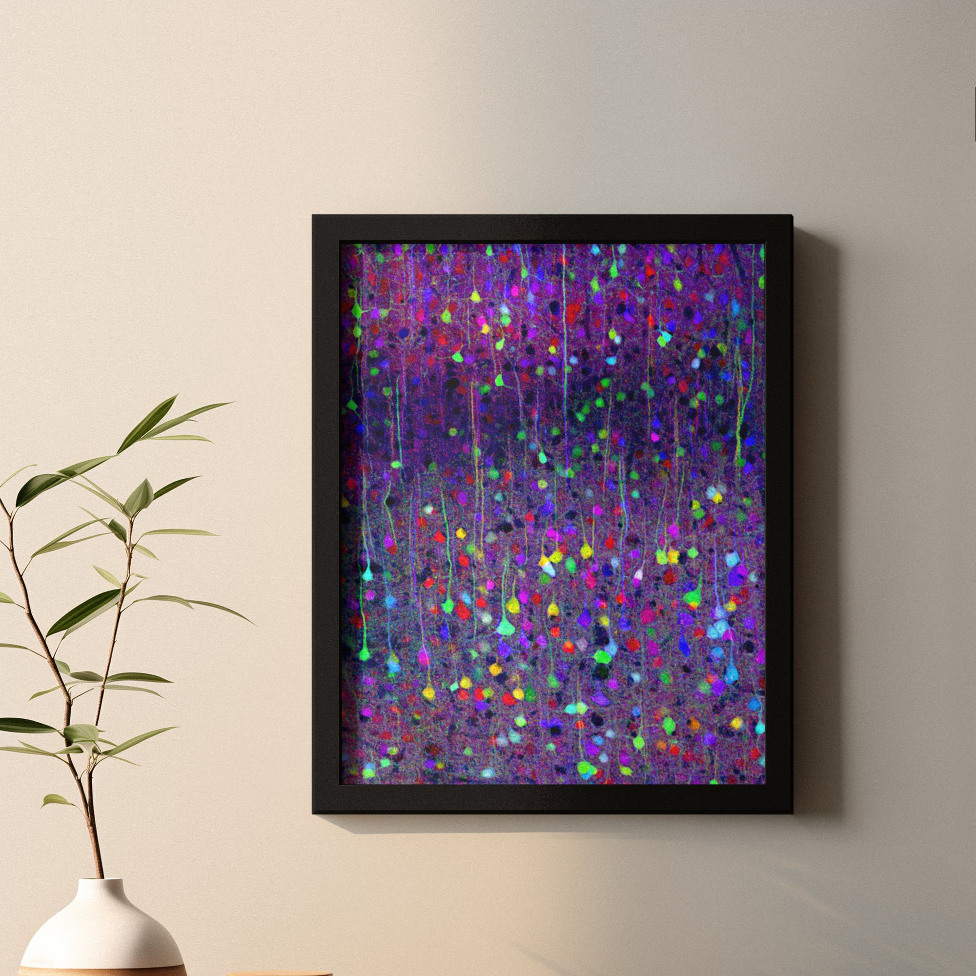 Neuron Art Print: Brainbow Cortex Poster Multicolor Neurons in Mouse Cortex Neurology Artwork ...