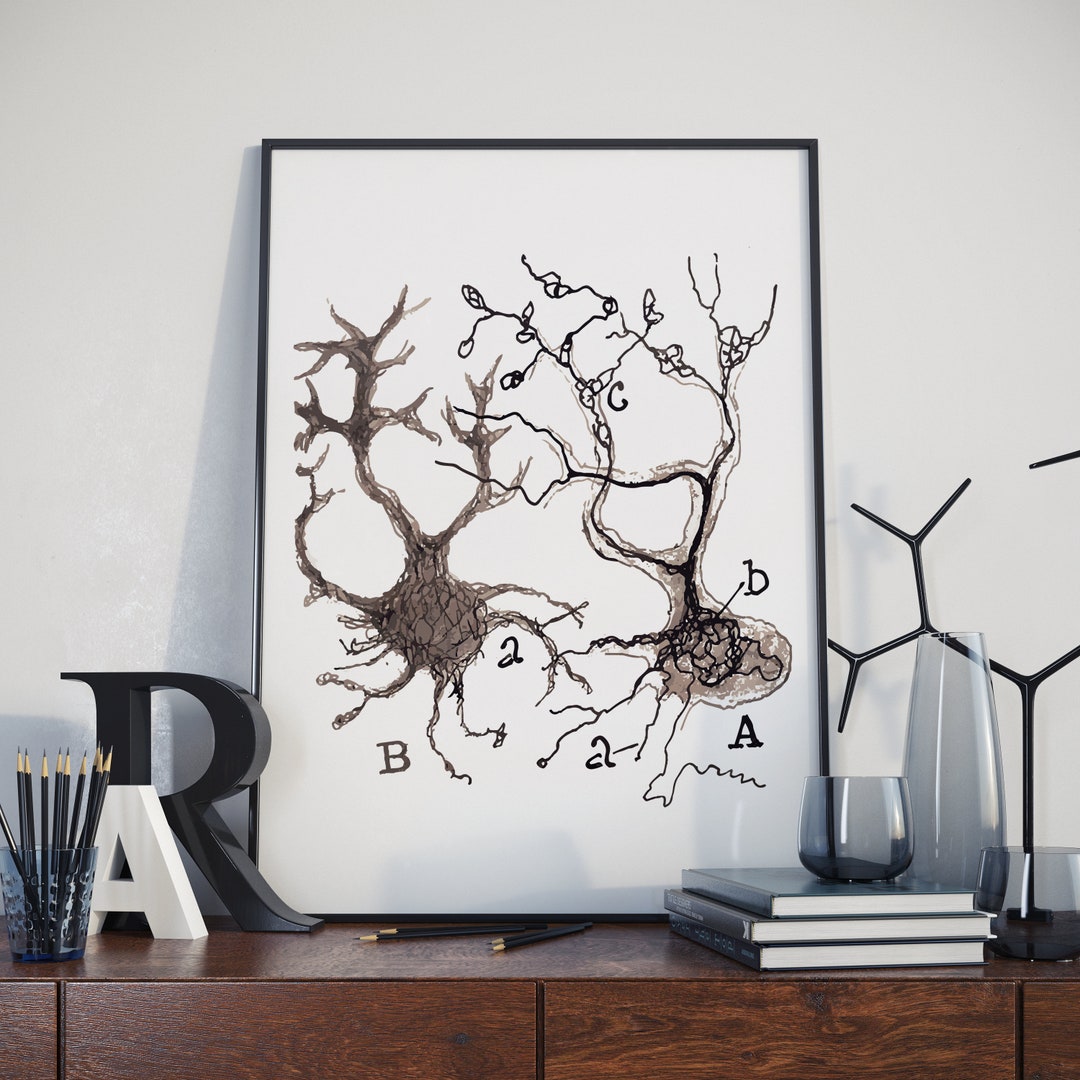 Neuron Print: Unveiling the Sublime Complexity of Neuronal Skeletons ...