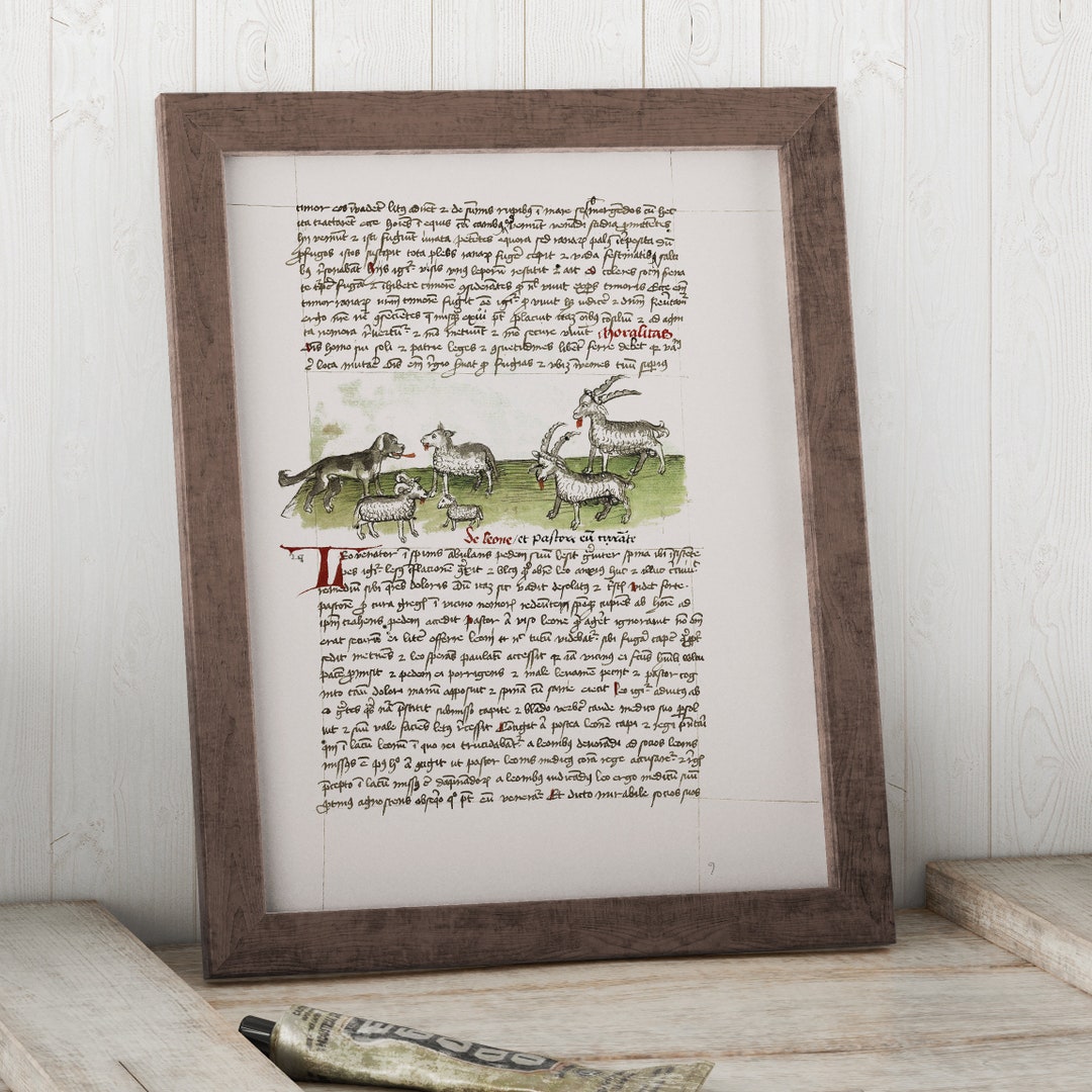 Medieval Manuscript Art Print - Dog, Sheep, and Rams - Vintage German ...
