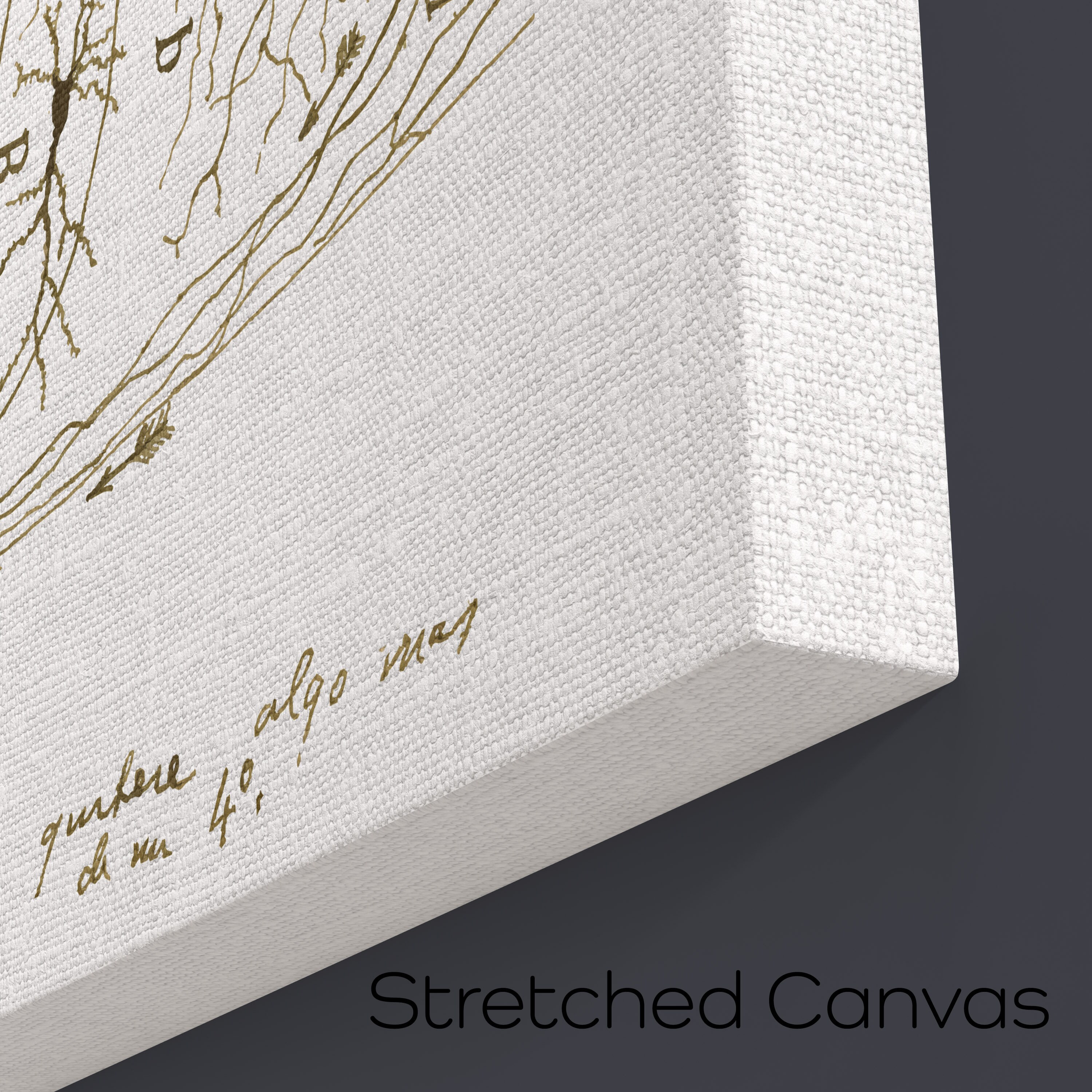 Neuroscience Art: Pyramidal Neurons in the Hippocampus - Santiago Ramon ...