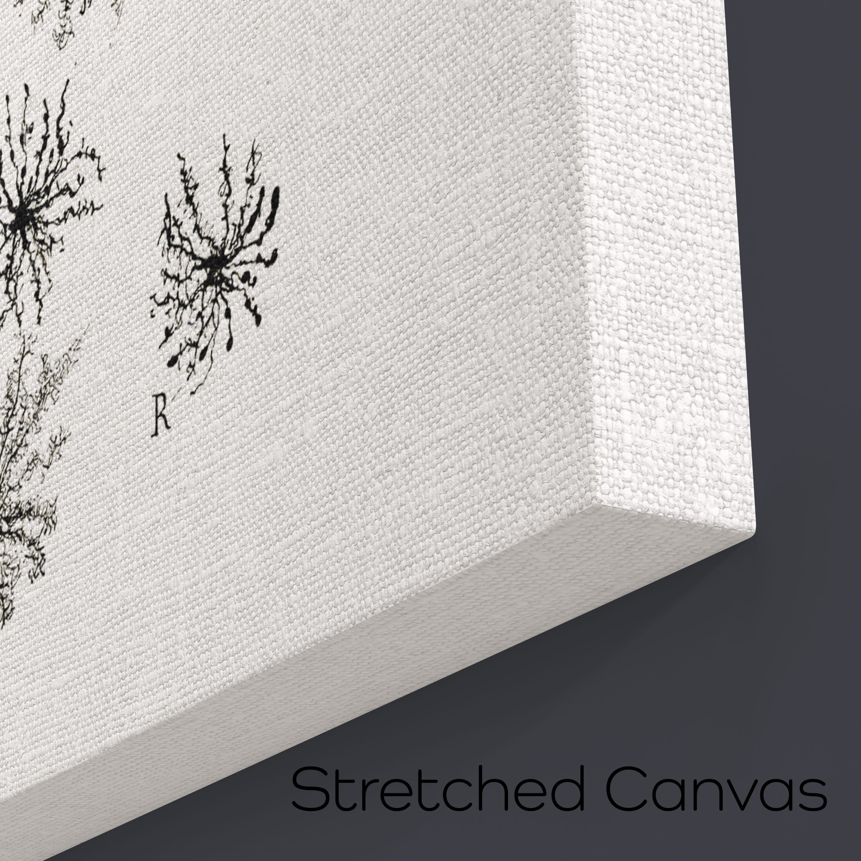 Neuron Art Print: Glial Cells of the Cerebral Cortex - Santiago Ramon Y ...