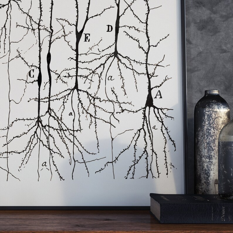 Neuron Print: Unraveling the Enchanting Pyramidal Neurons of the ...