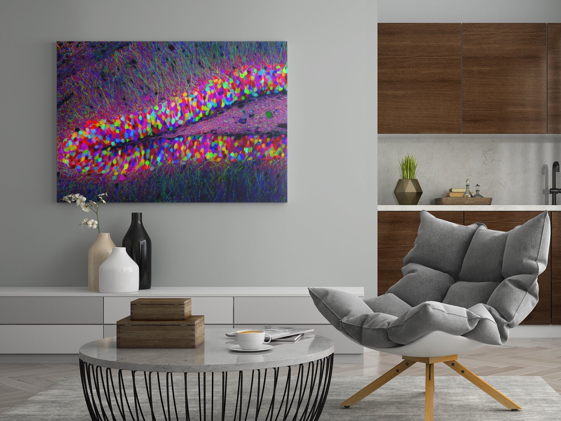 Neuron Art Print: Brainbow Hippocampus - Stunning Multicolor Neurology ...