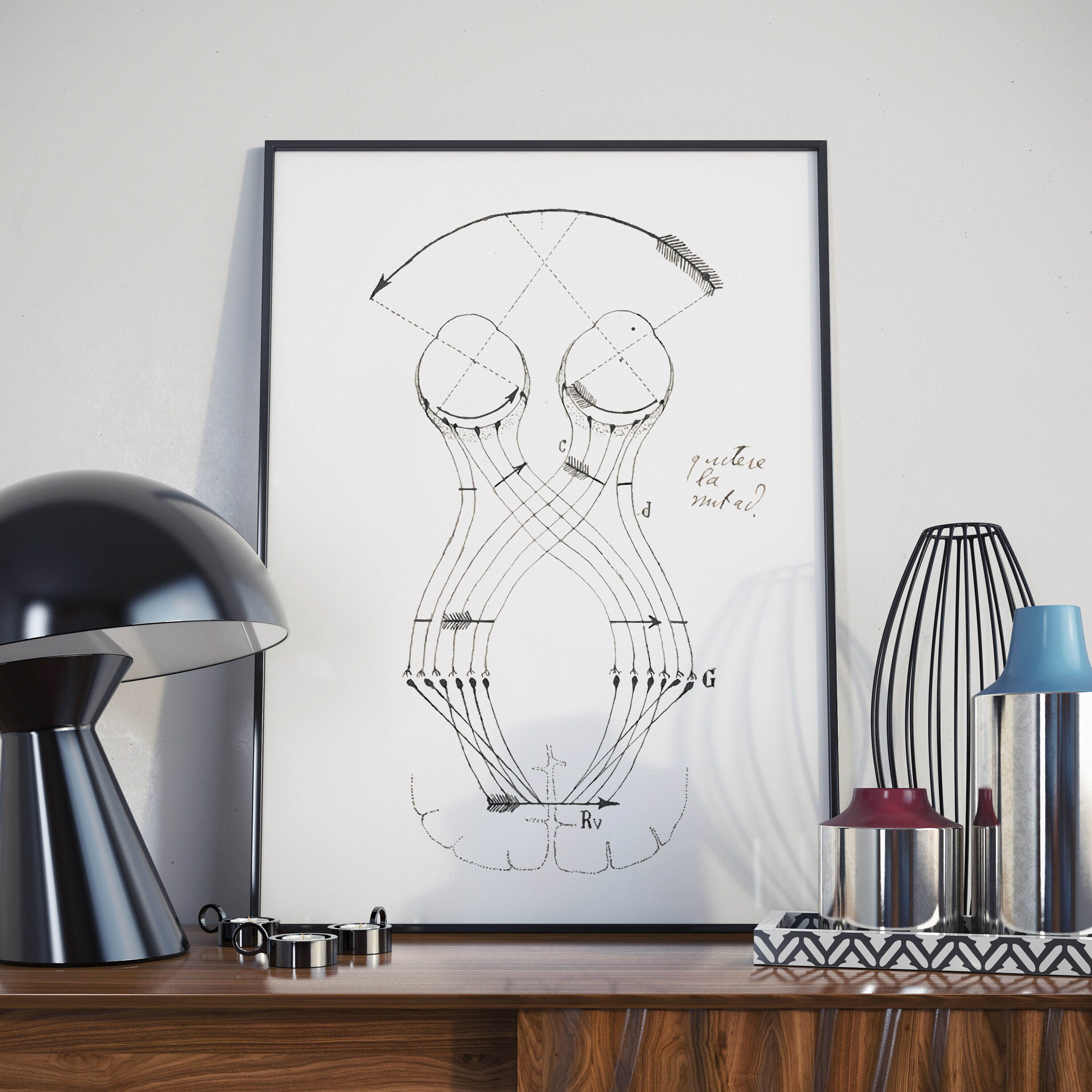 Neuron Print: Visual Pathways Unveiled -cajal's Neurological Insight ...