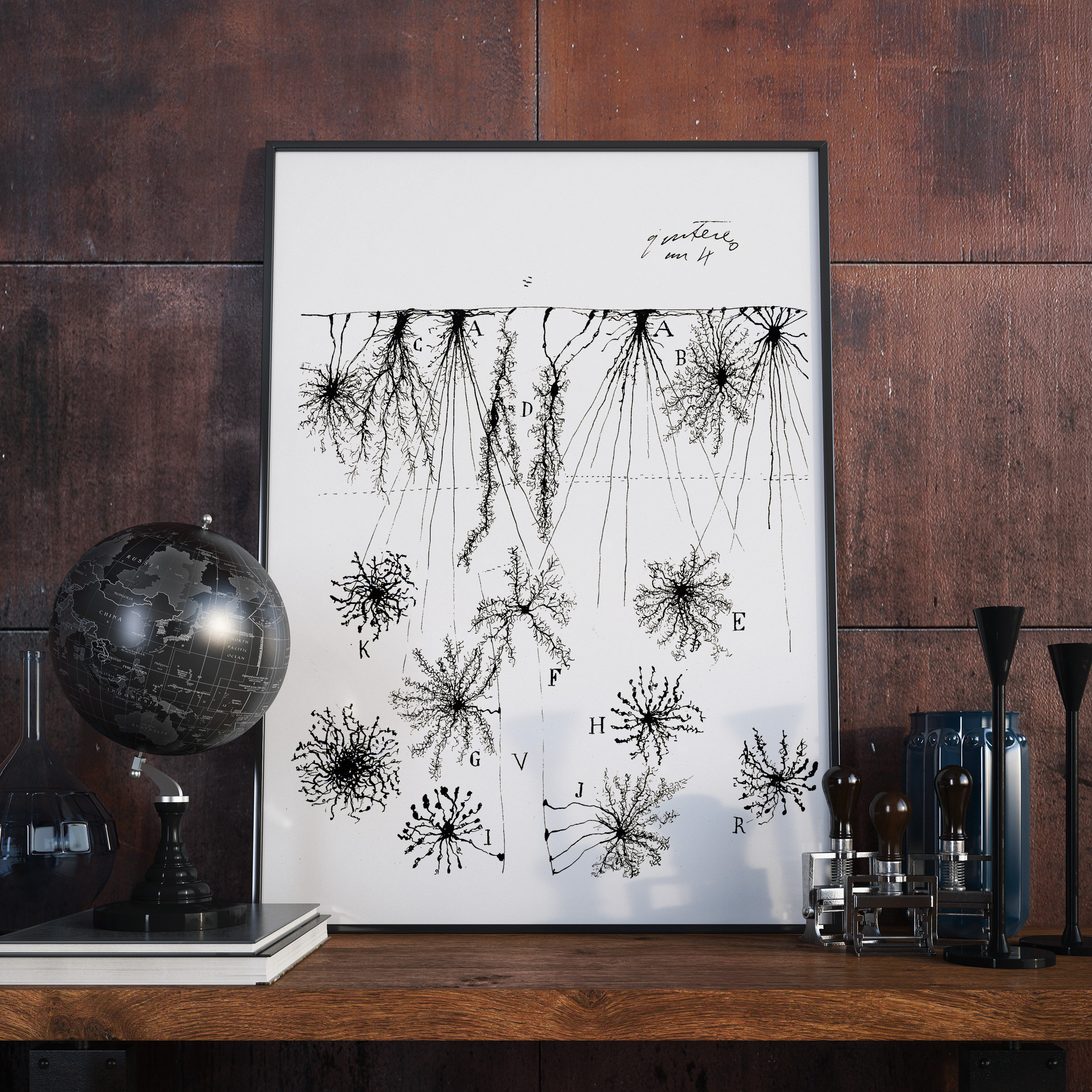 Neuron Art Print: Glial Cells of the Cerebral Cortex - Santiago Ramon Y ...
