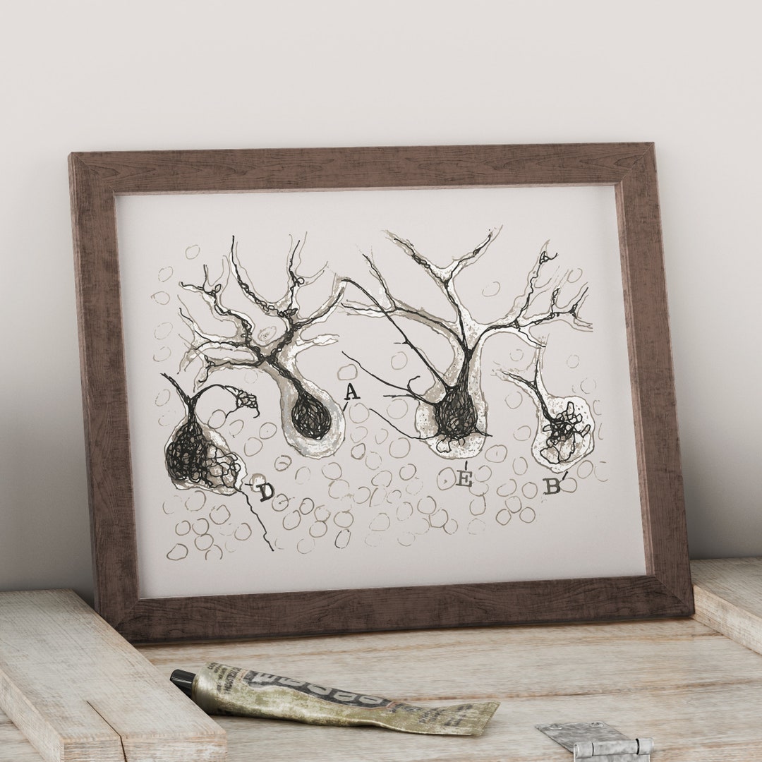 Neuron Print: Unveiling the Resilience of Injured Purkinje Neurons ...