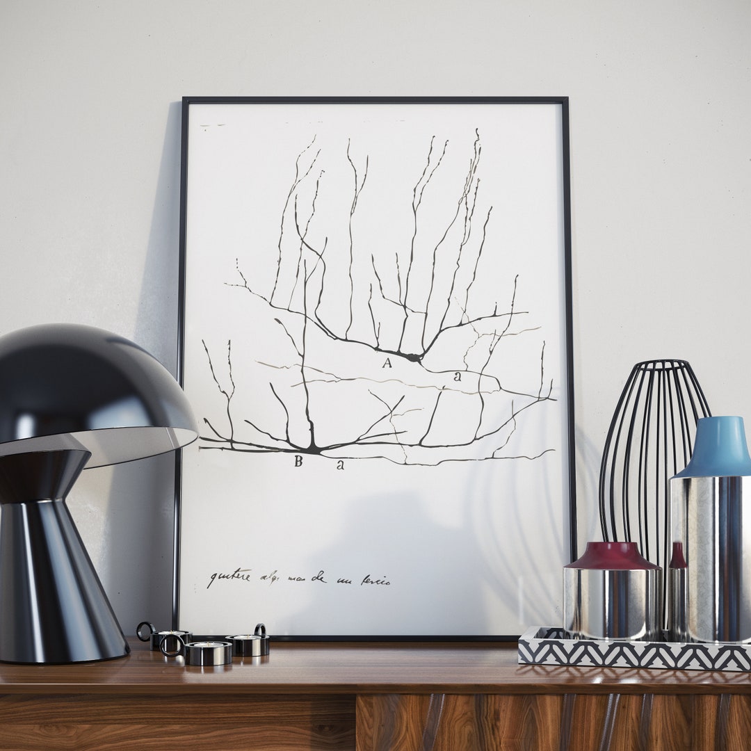Neuron Art Print: Cajal's Child Auditory Cortex Neurons Poster ...