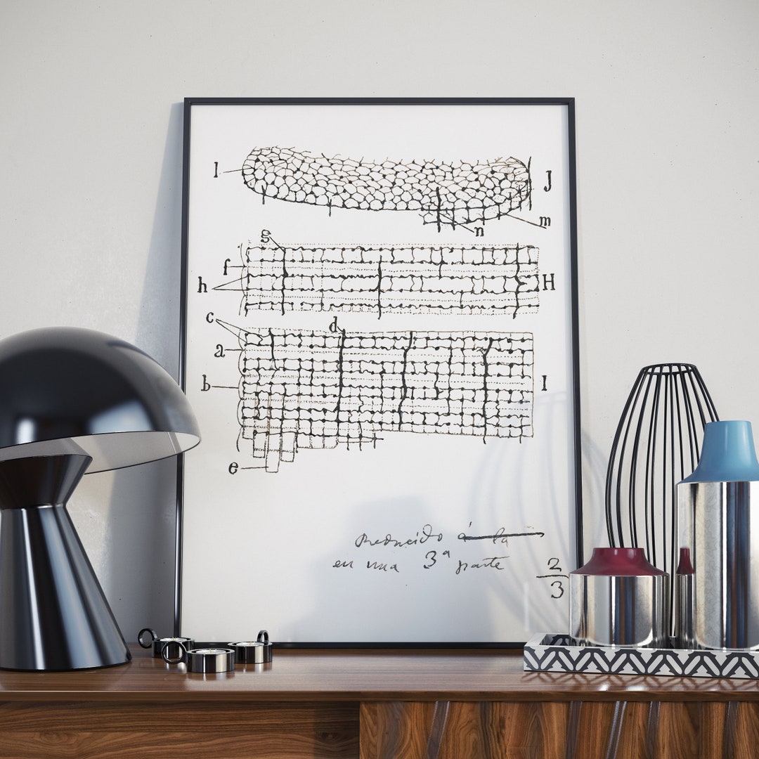 Neurology Art Print: Scarab Beetle Muscle Cells - Santiago Y Cajal ...