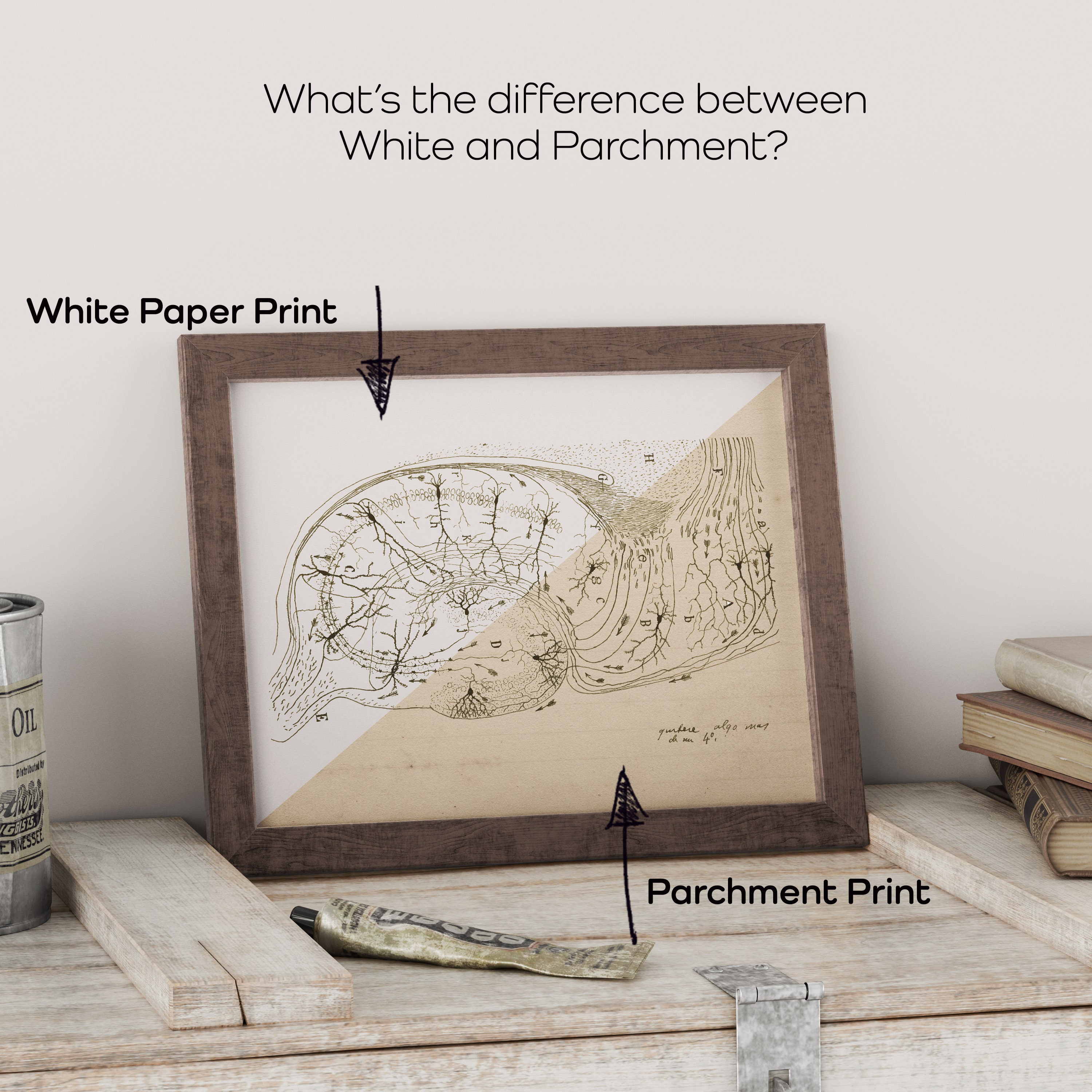 Neuroscience Art: Pyramidal Neurons in the Hippocampus - Santiago Ramon ...