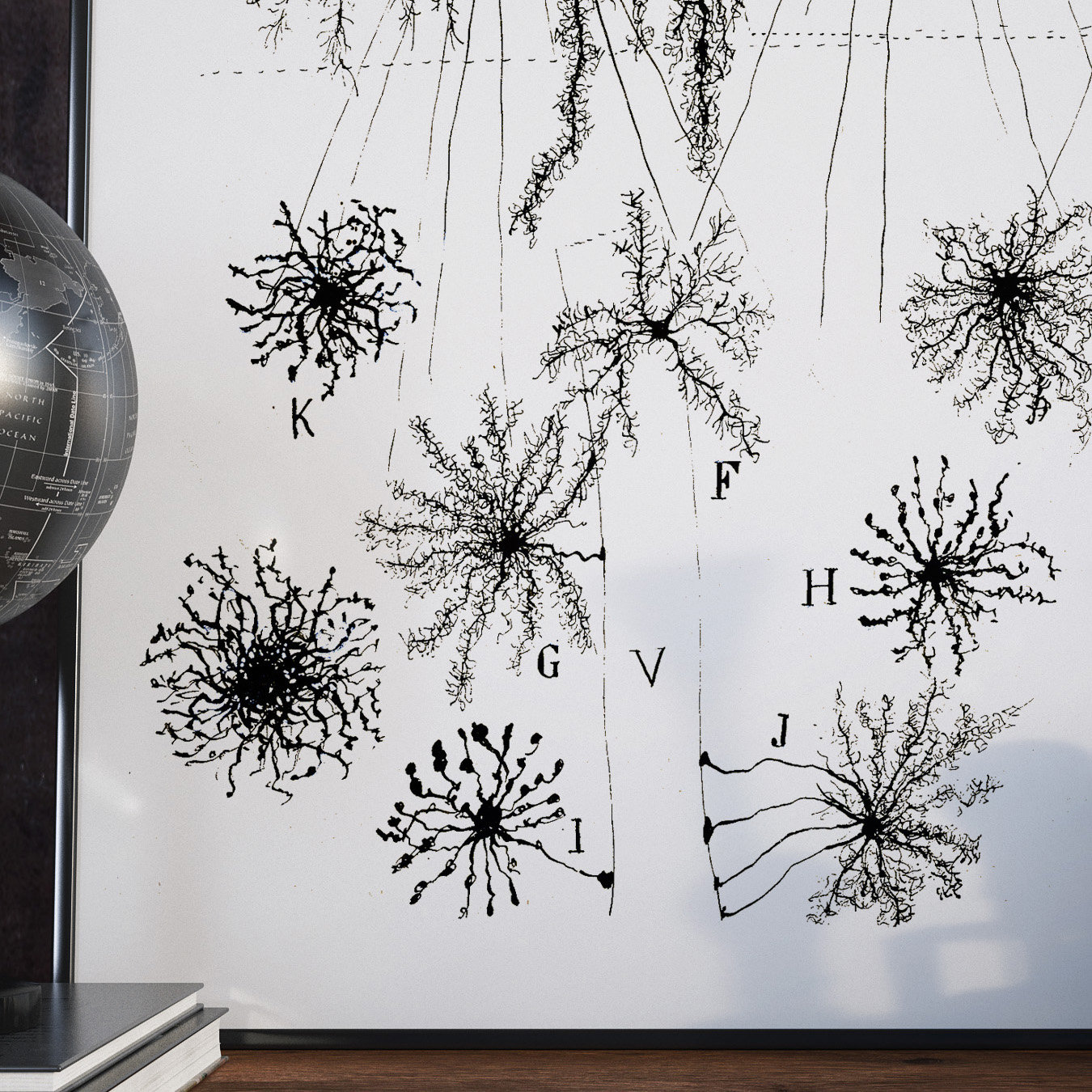 Neuron Art Print: Glial Cells of the Cerebral Cortex - Santiago Ramon Y ...