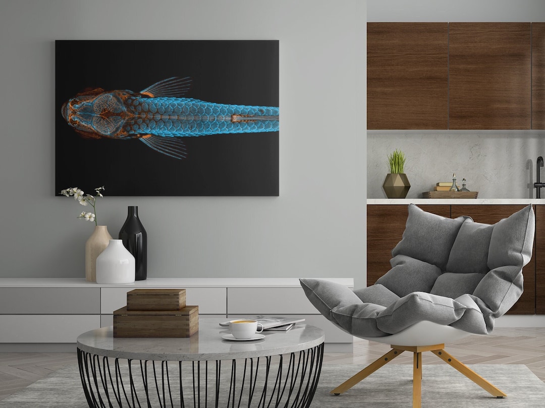 Biology Art Print: Zebrafish Anatomy - Confocal Microscopy - 2020 ...