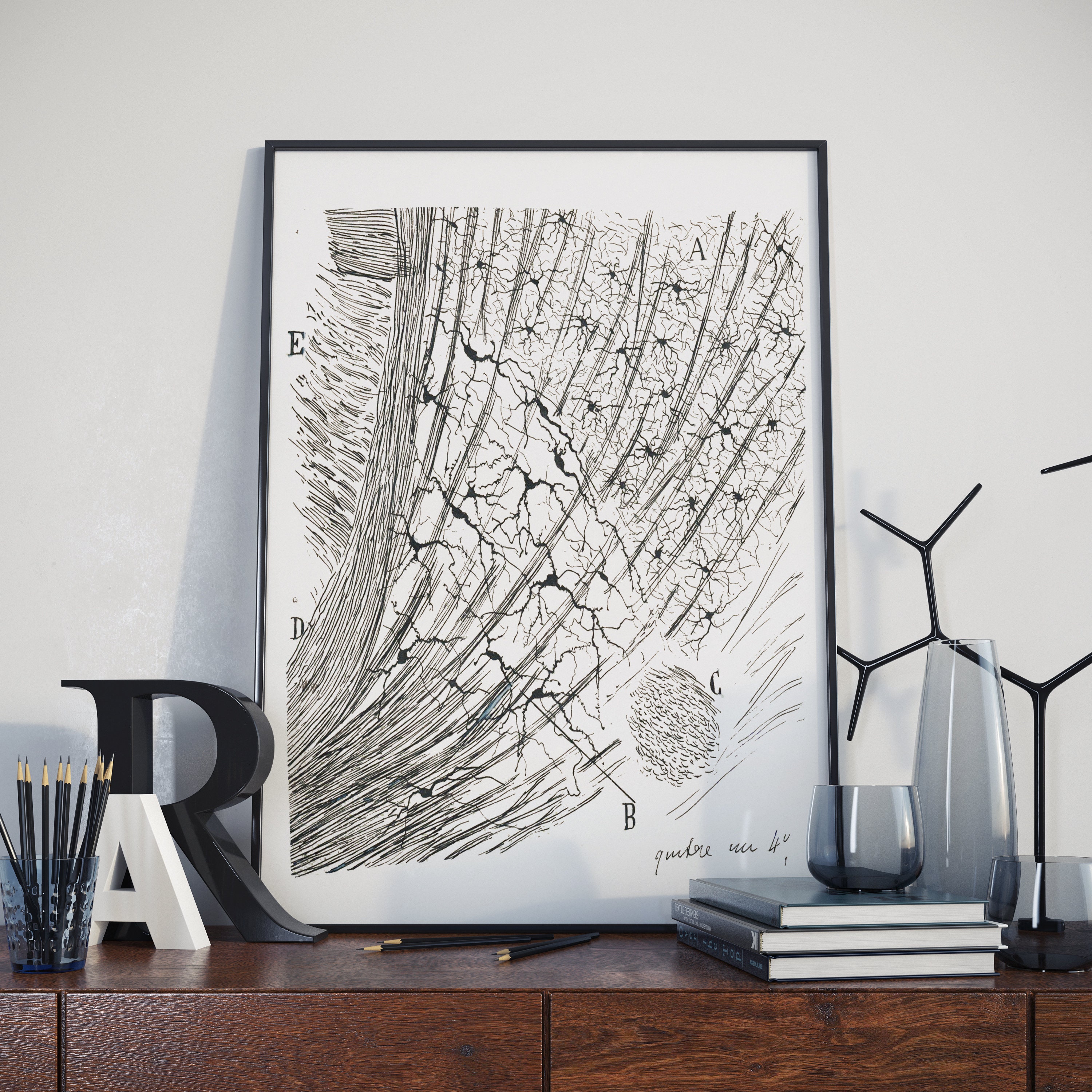 Neuron Print: Caudate Nucleus of a 20-day-old Mouse - Santiago Ramon Y ...