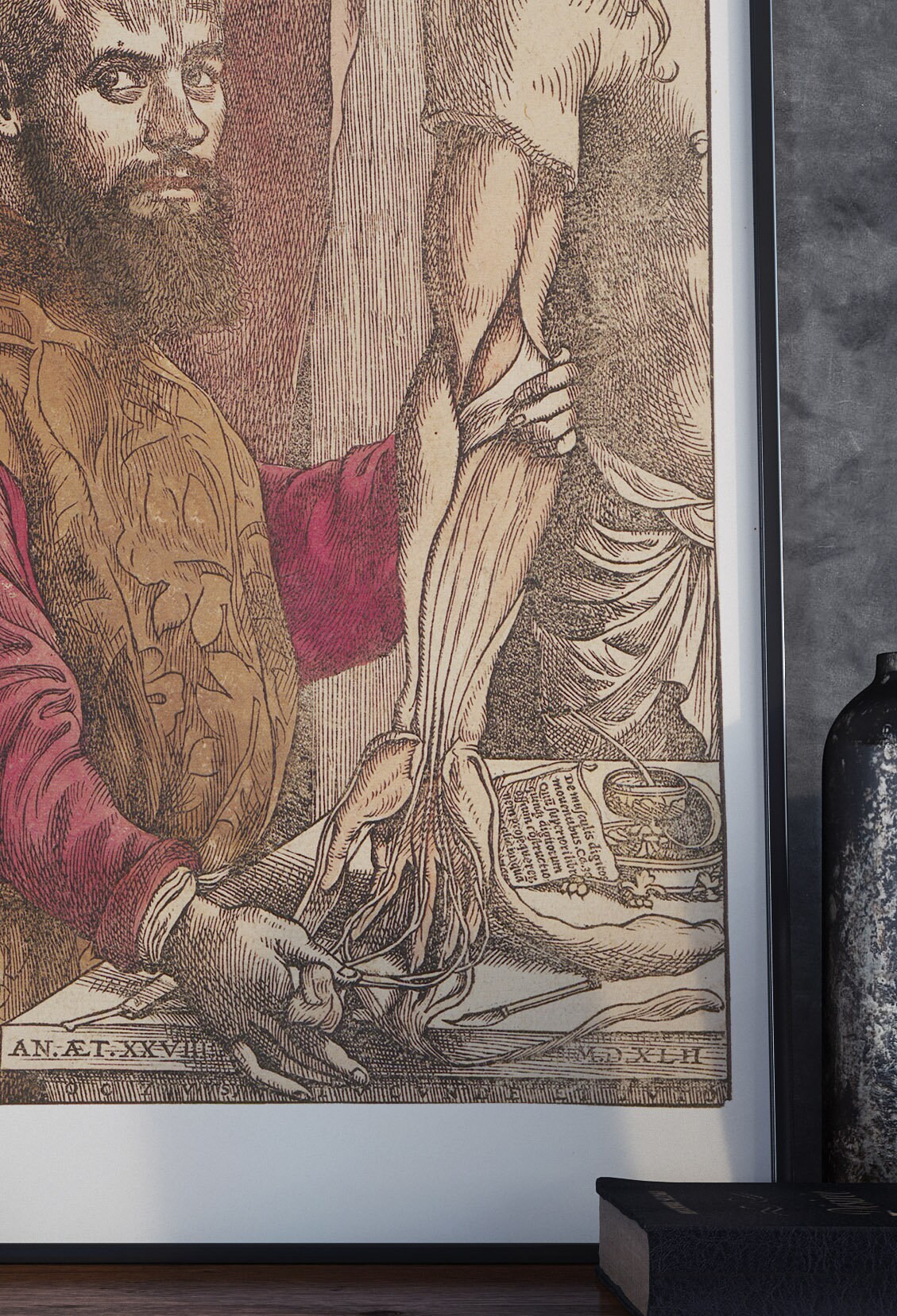 Andreas Vesalius Portrait Art Print - Founder of Modern Anatomy ...