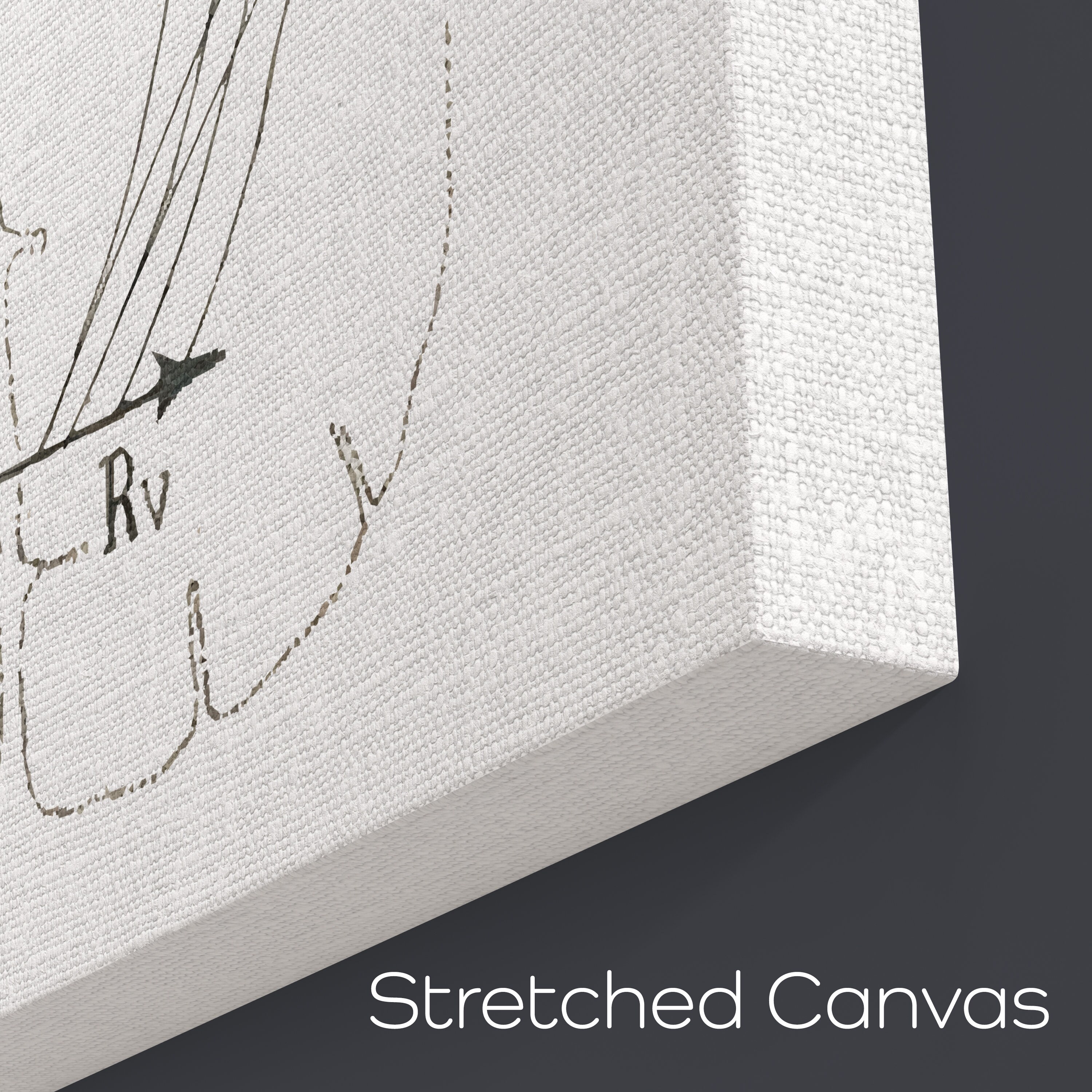 Neuron Print: Visual Pathways Unveiled -cajal's Neurological Insight ...