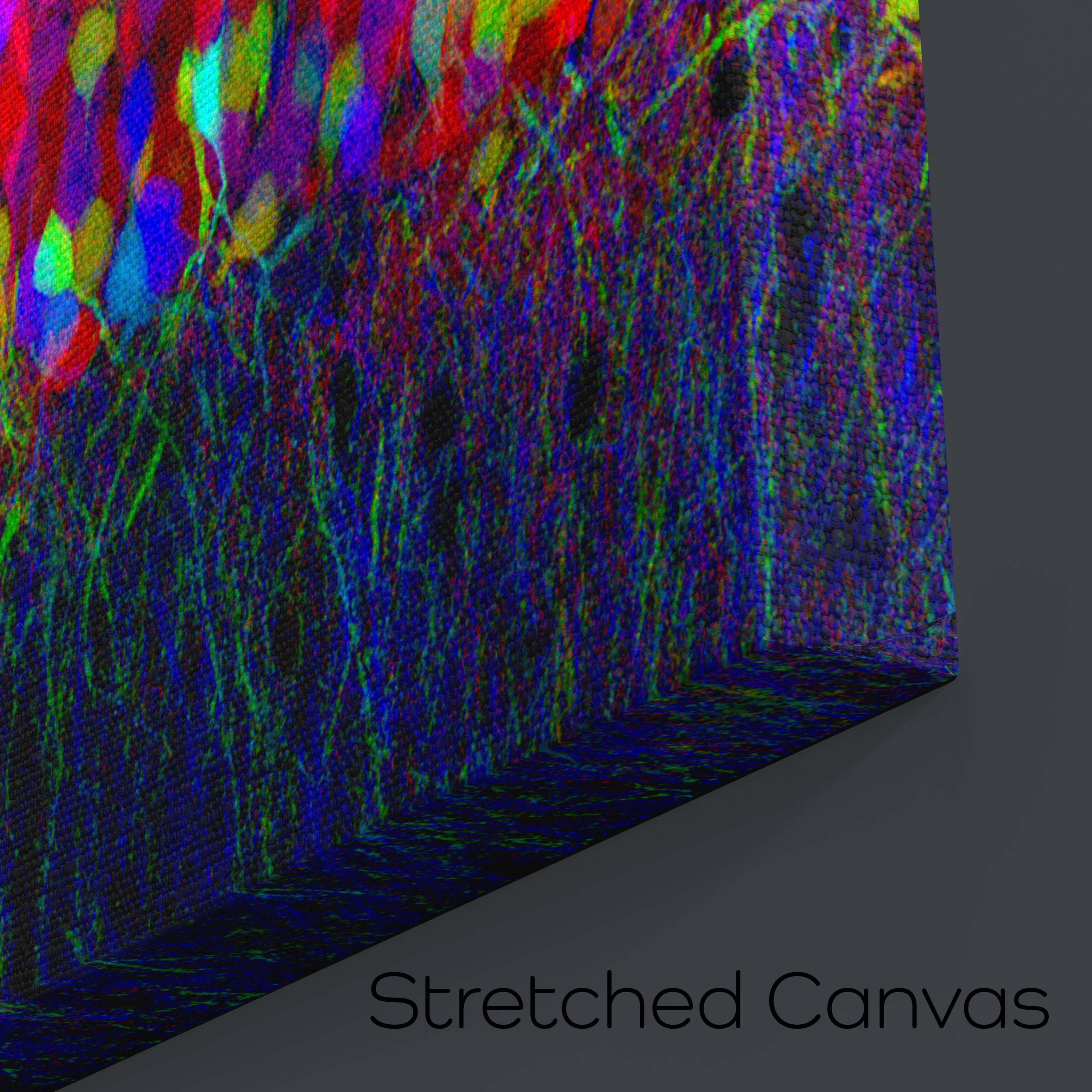 Neuron Art Print: Brainbow Hippocampus - Stunning Multicolor Neurology ...
